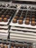 The Best Places For Chocolate Buckeye Lovers Around Ohio