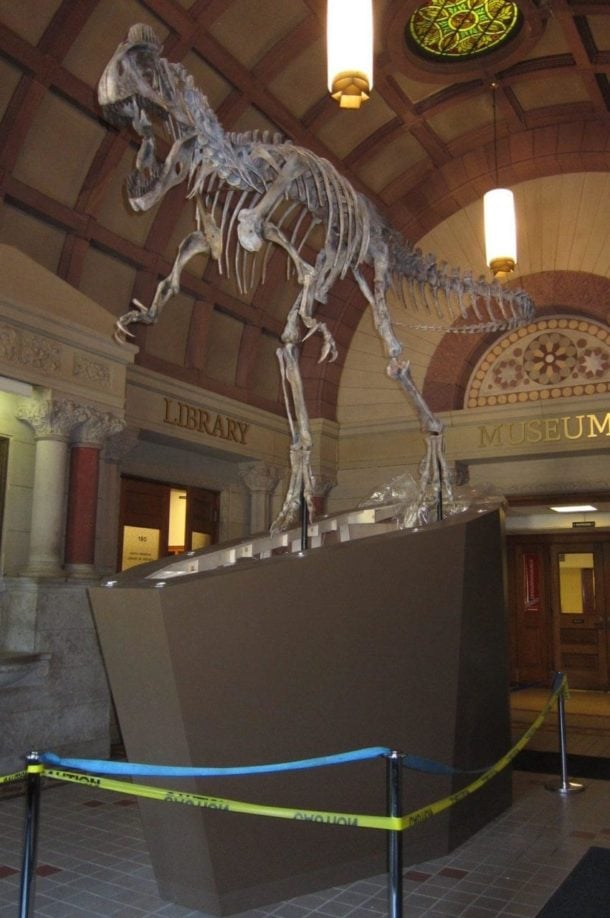 The New Dino At OSU's Orton Geological Museum Is Freakin' Awesome