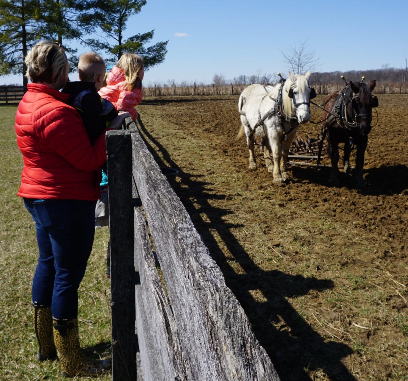The 9 Coolest Educational Experiences In Columbus