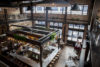 Forbidden Root At Easton Is The First Concept To Open In The New $500 ...