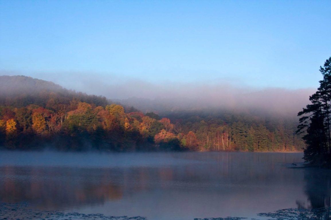 Zaleski State Forest Is An Underrated Gem. Here's Your Guide To Hiking It