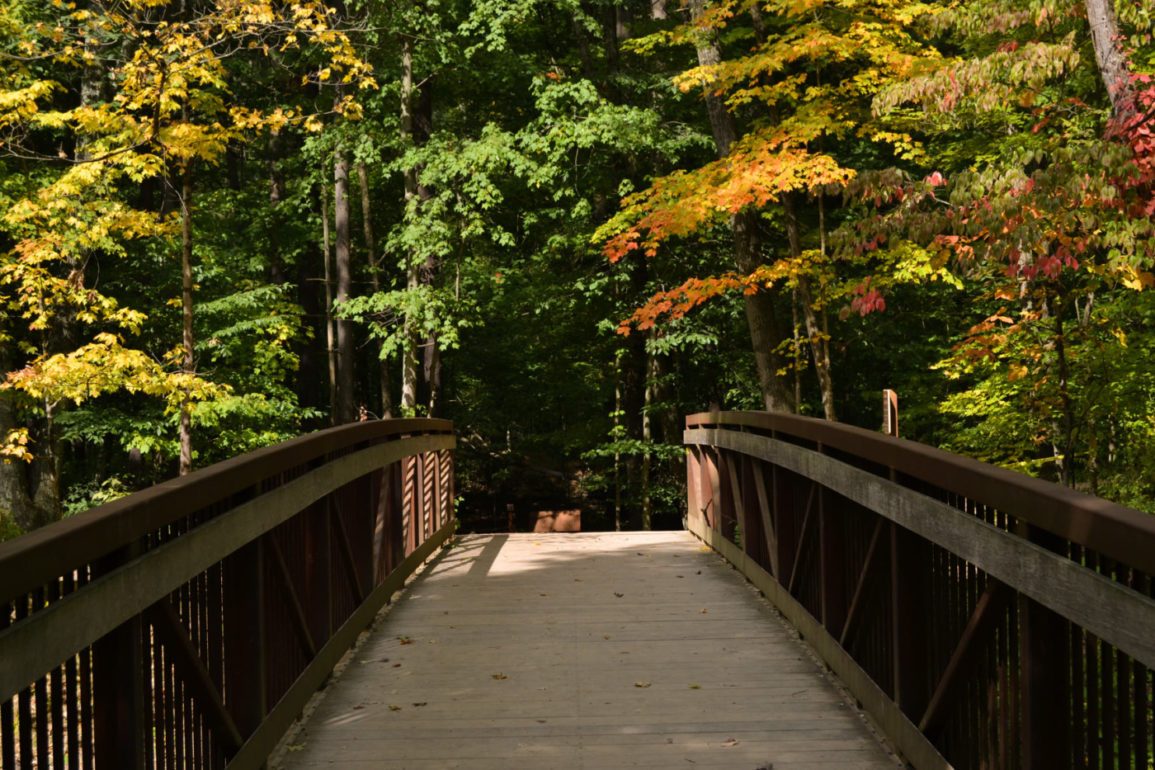 Shale Hollow Park Is A Magical Place To Connect With Nature