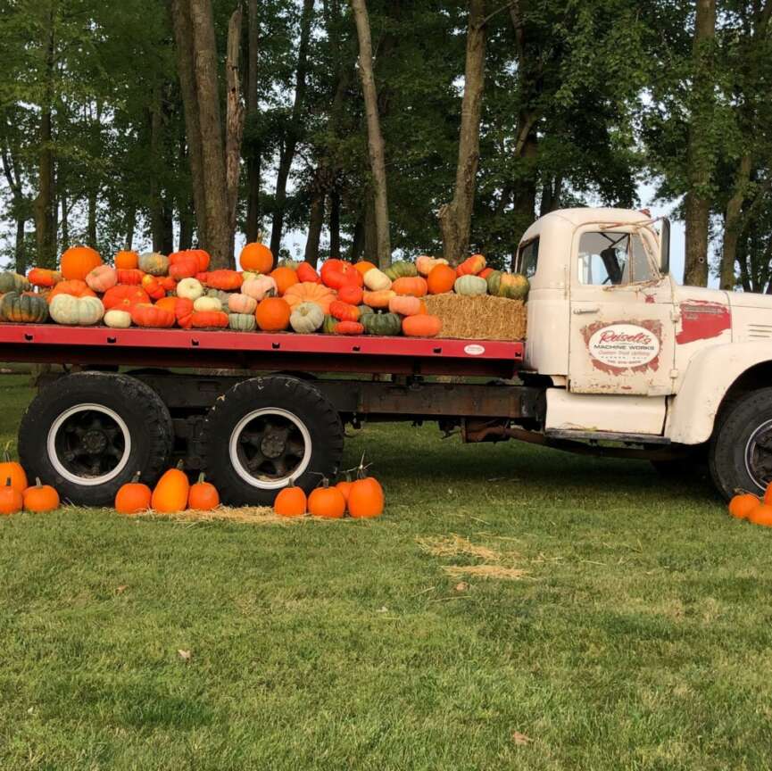 10 Perfect Pumpkin Patches To Check Out Around Columbus