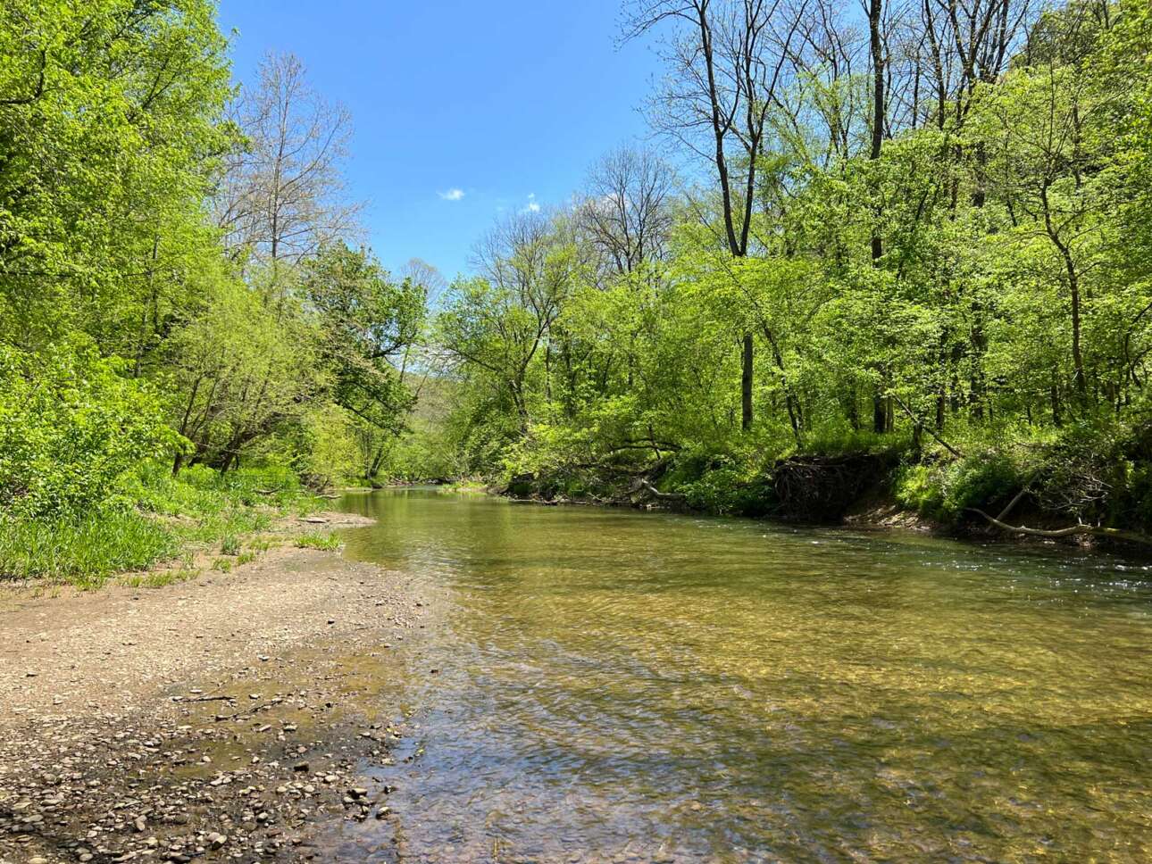 7 Unique Adventures Hidden in Columbus Metro Parks