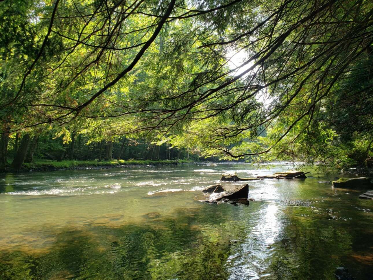 Ohio State Parks _ Ohio State Parks: Complete List and Guide – NRIN
