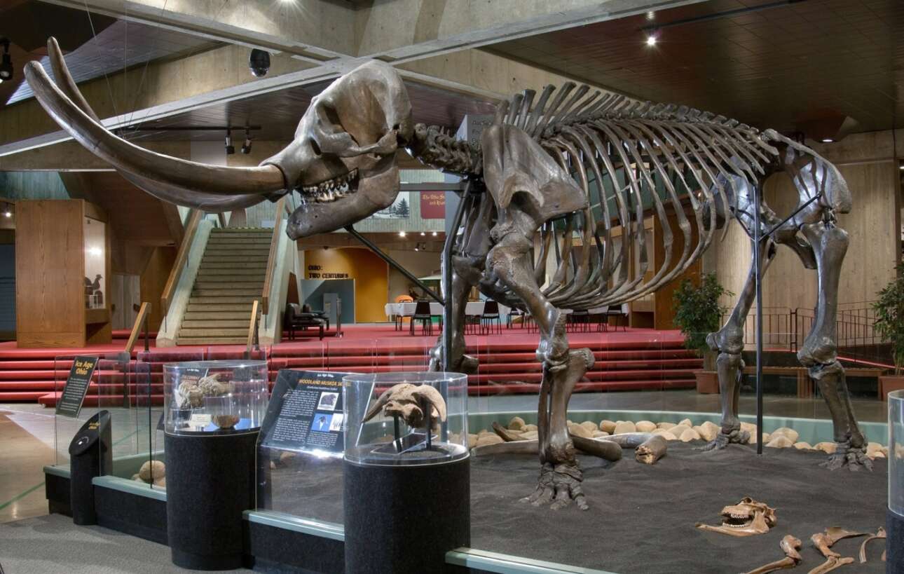 Everything You Need To Know About Visiting The Ohio History Center