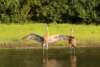 The Best Things To Do At Slate Run Metro Park