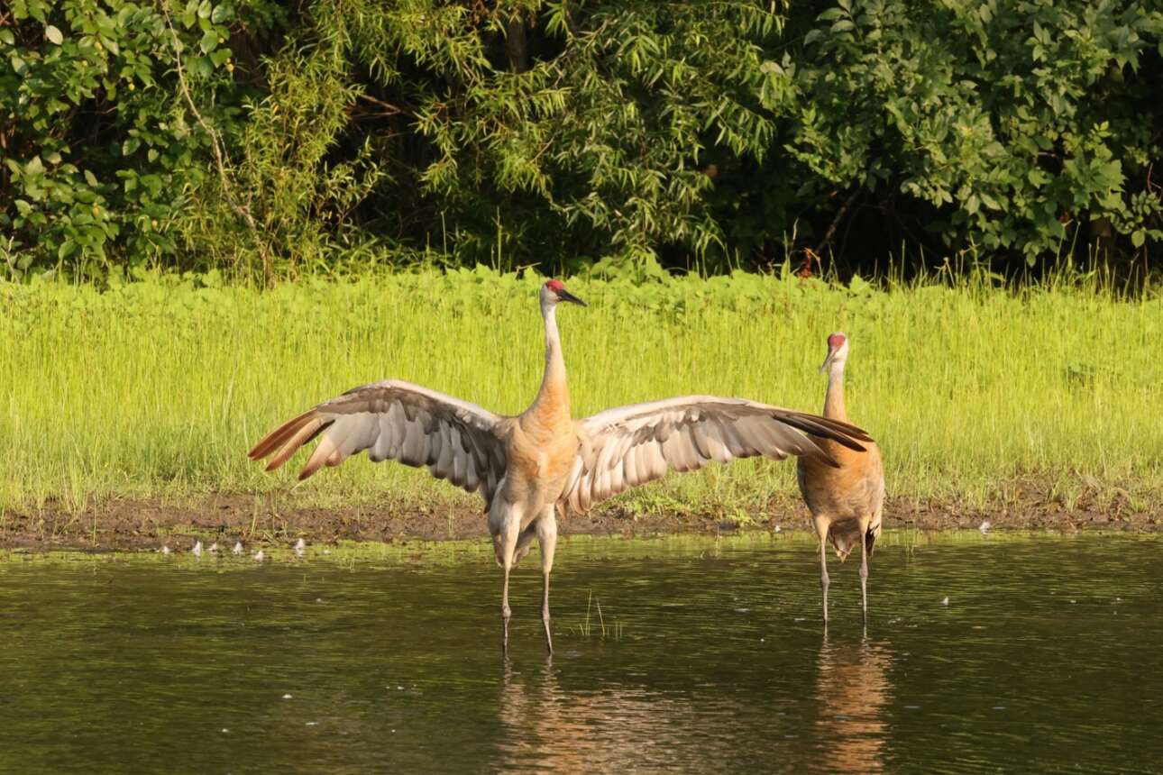 The Best Things To Do At Slate Run Metro Park