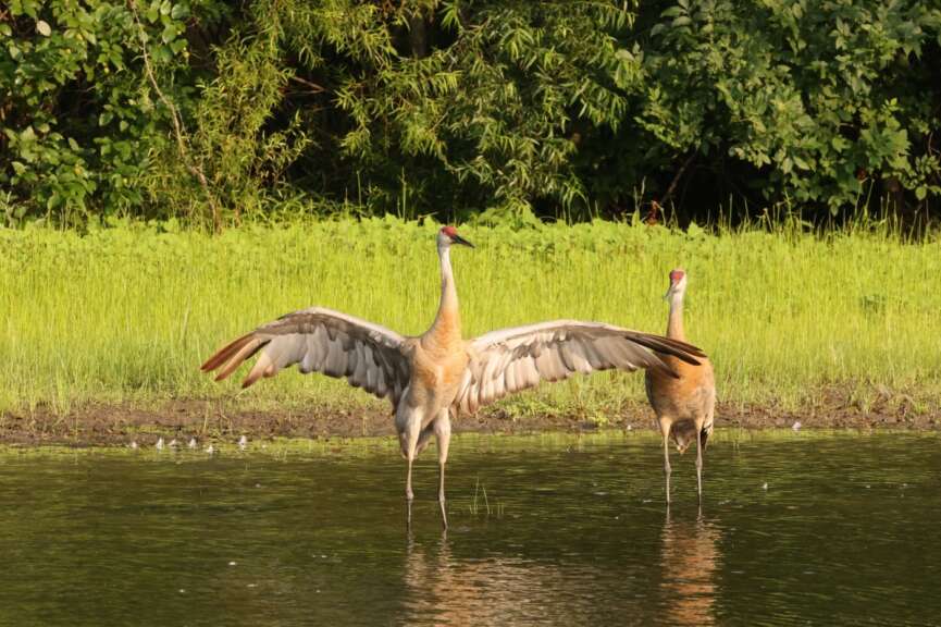 The Best Things To Do At Slate Run Metro Park