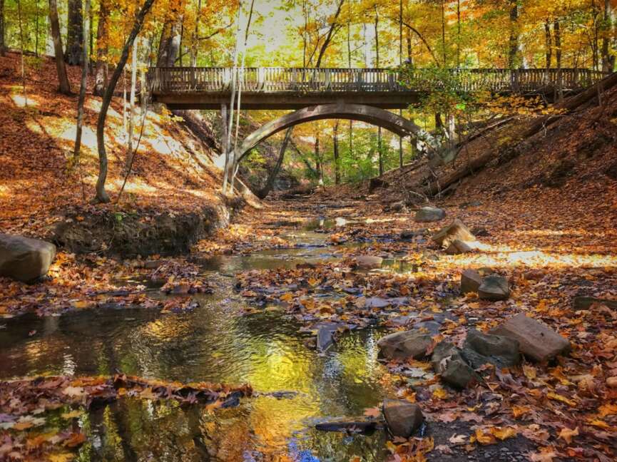 5 Scenic Hikes to Soak Up Columbus’ Stunning Fall Foliage