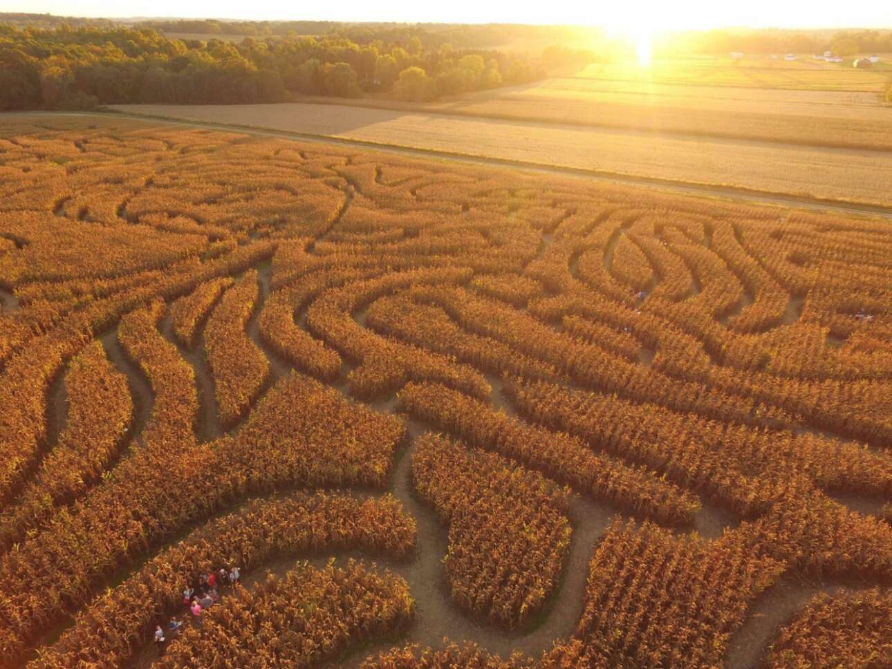 Don't Get Lost! The Best Corn Mazes In Ohio