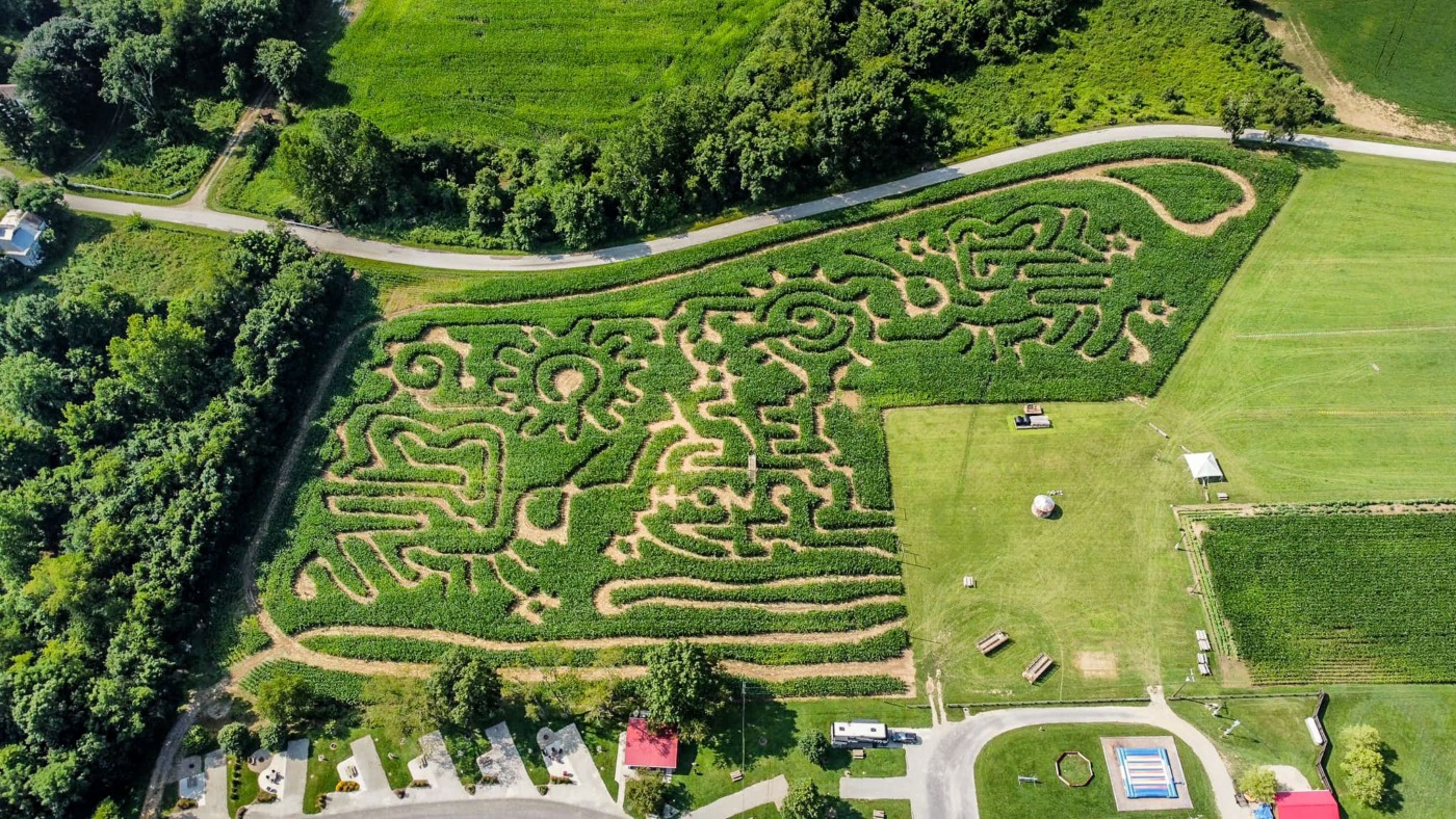 Don't Get Lost! The Best Corn Mazes In Ohio