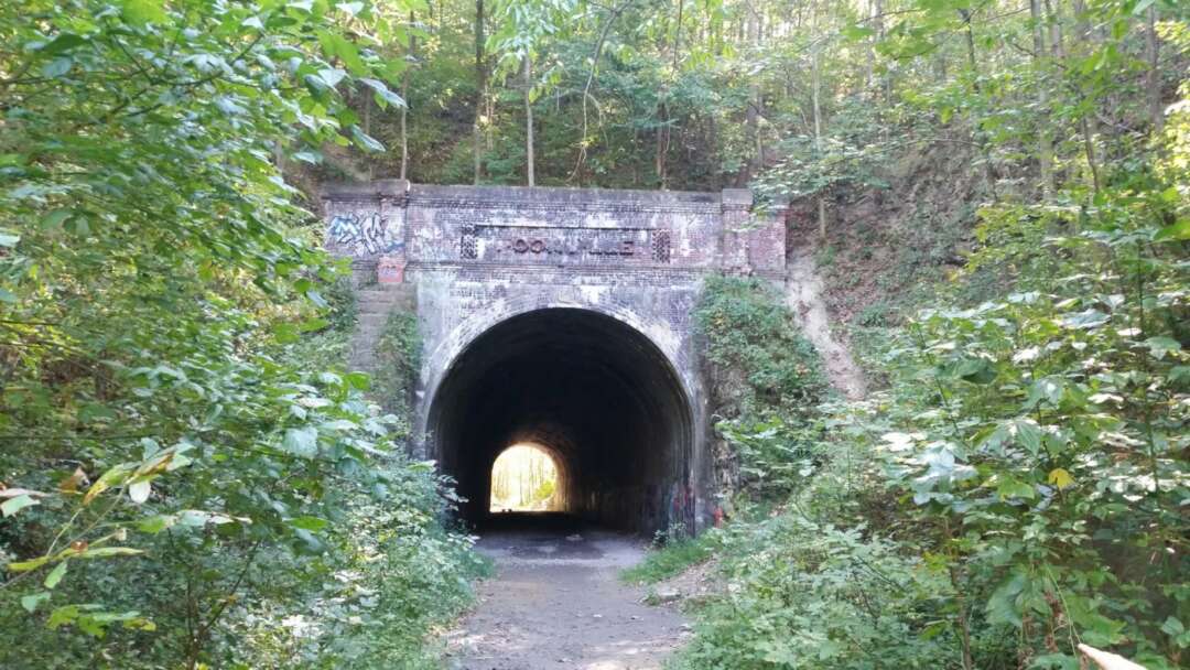 The 11 Most Bizarre Cryptids And Monsters From Ohio
