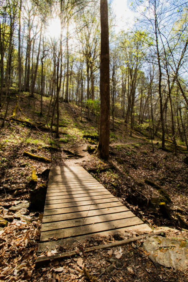 The 11 Best Things To Do At Shawnee State Park The 11 Best Things To Do At Shawnee State Park