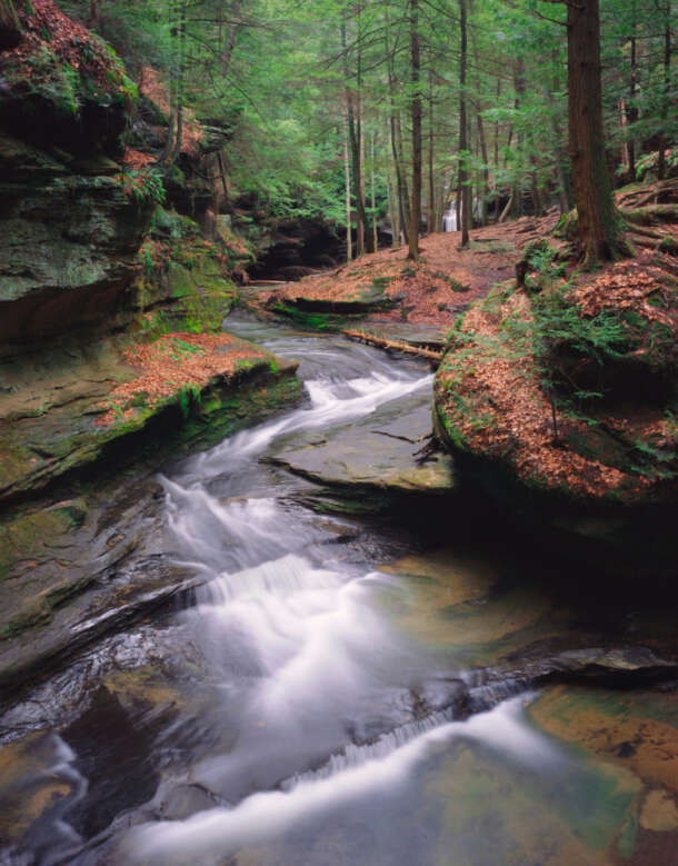 The Best Places In Ohio To View Fall Foliage
