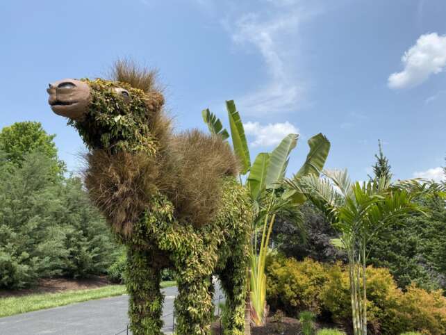 Garden Safari: Plant Creations Will Come Alive At Franklin Park ...