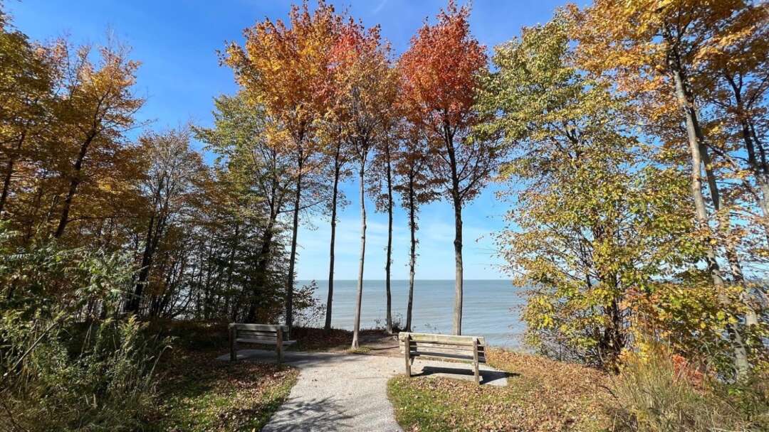 The Best Places In Ohio To View Fall Foliage