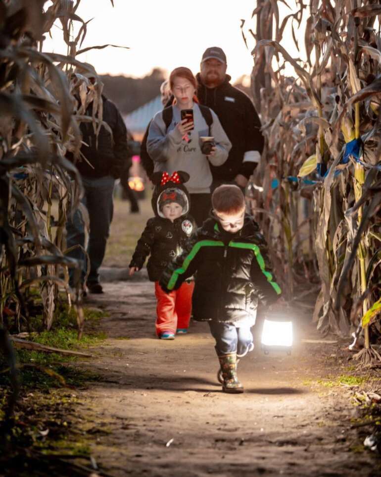 Don't Get Lost! The Best Corn Mazes In Ohio