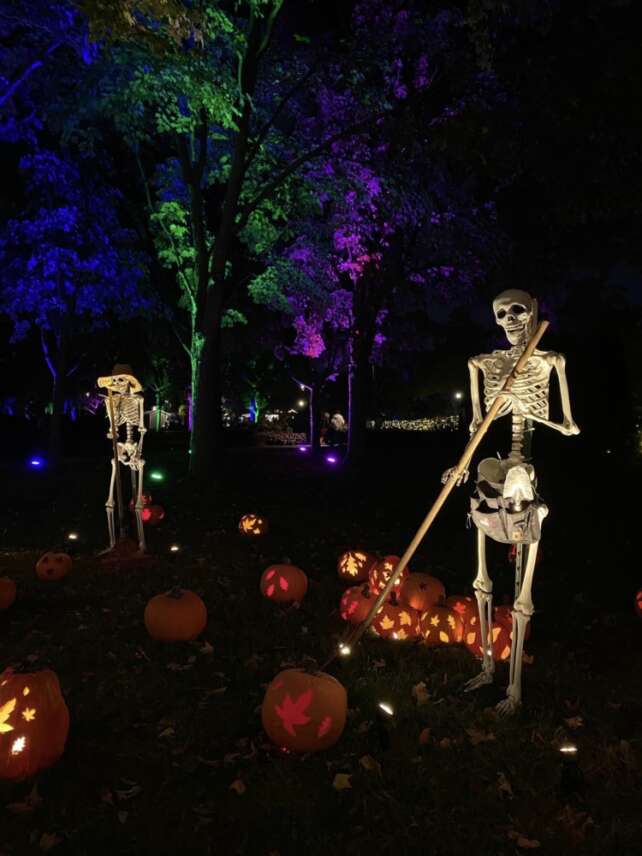 Hundreds Of Glowing Pumpkins Are Back At Franklin Park Conservatory
