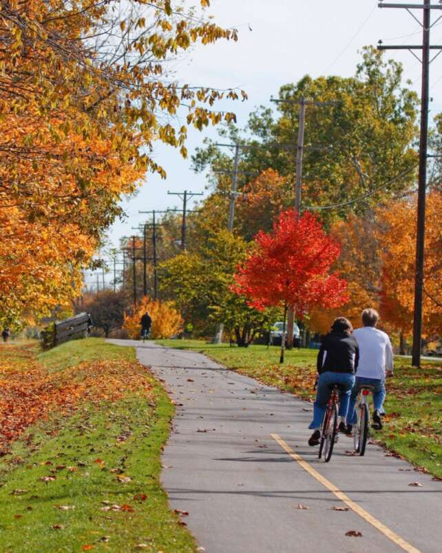 The Best Places In Ohio To View Fall Foliage
