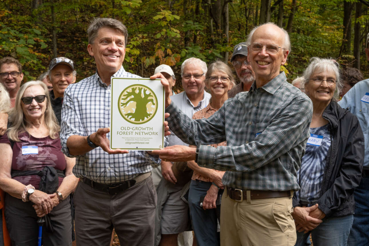 Ohio Is Home To The Most Old-Growth Forests In The U.S.