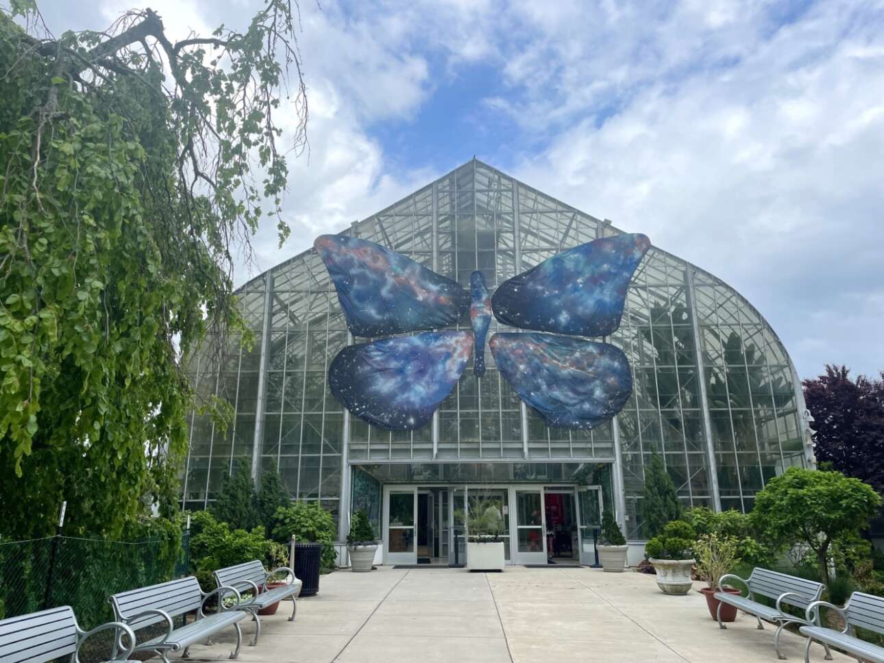 The Best Places To See Butterflies In Ohio