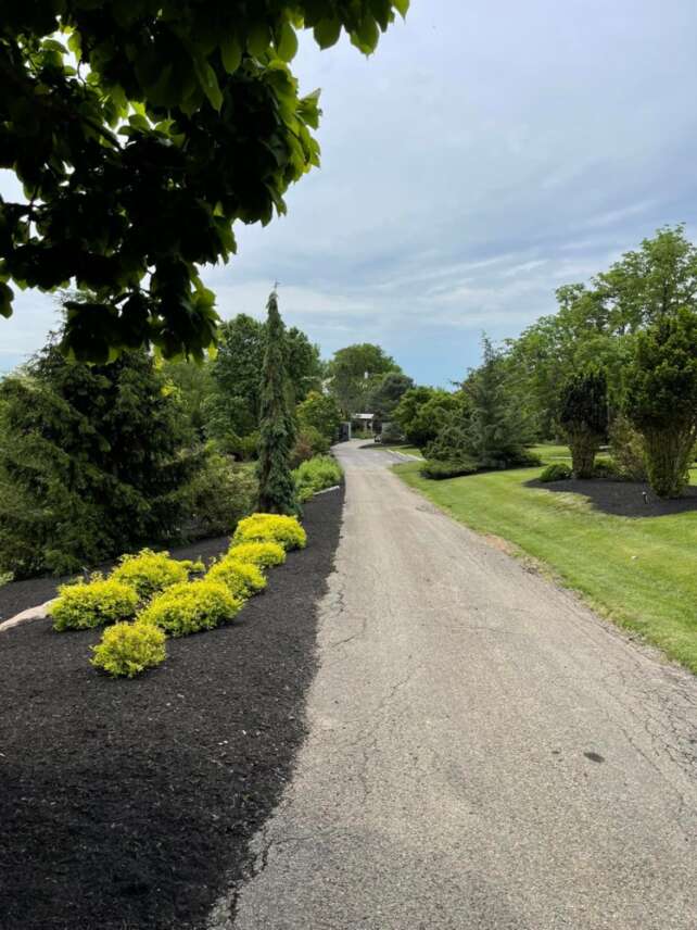 7 Must-Visit Arboretums In Ohio That’ll Make You Want To Hug A Tree