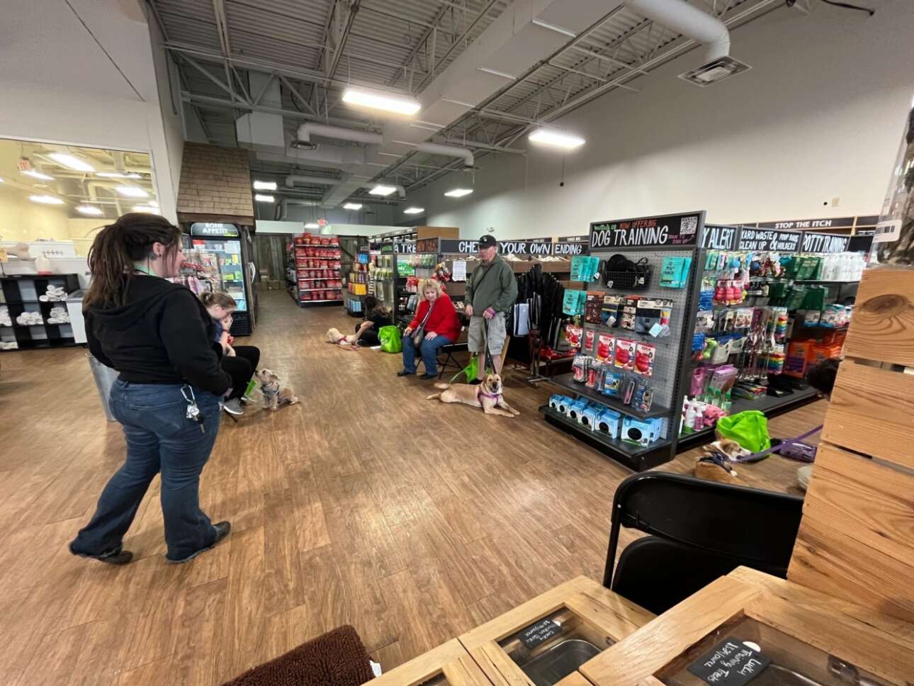 The South End Is Getting A New Tail-Waggin’ Addition In Mutts & Co.