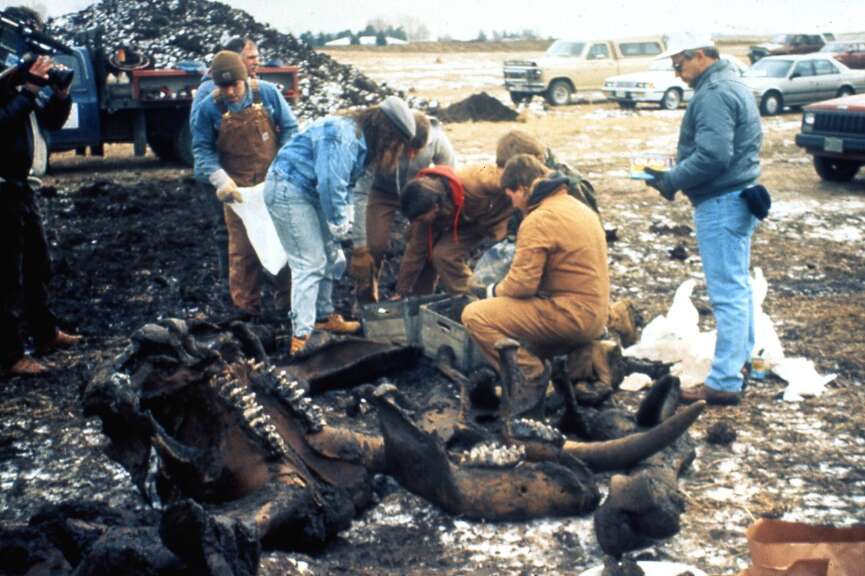 Central Ohio’s Ice Age Giant: The Story Of The Burning Tree Mastodon