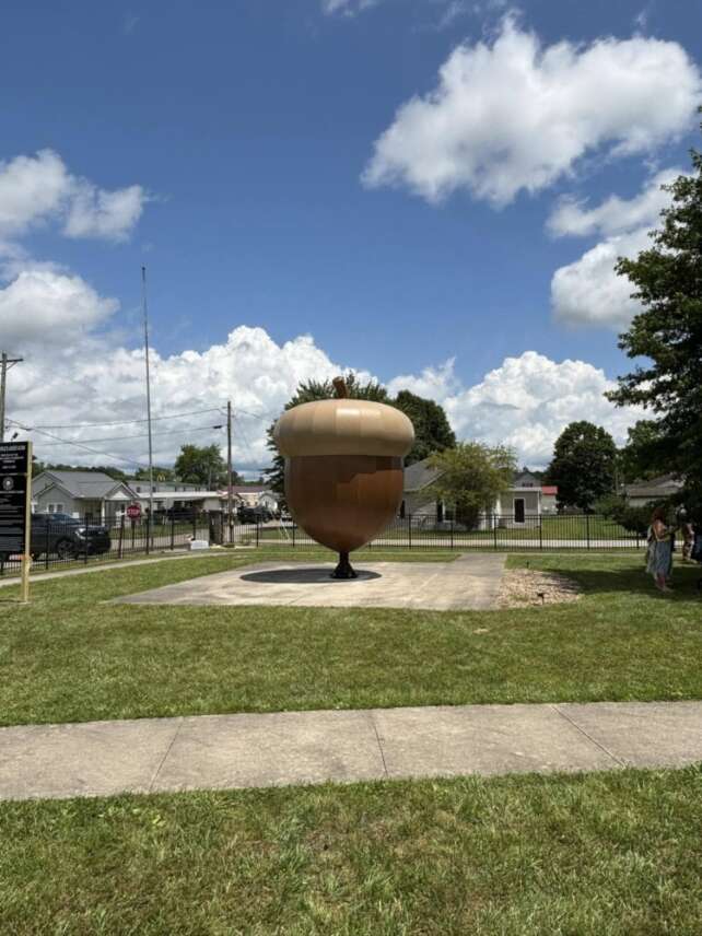 Oak Hill Just Unveiled The World's Largest Acorn, And It’s Absolutely Nuts