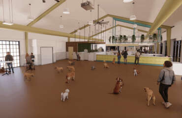 The Wag Brings A Dog-Forward Social Space To Columbus
