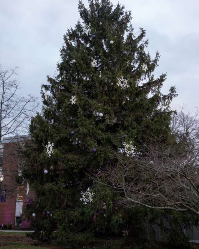 Capital University’s Tree Lighting Is The Coziest Way To Kick Off The ...
